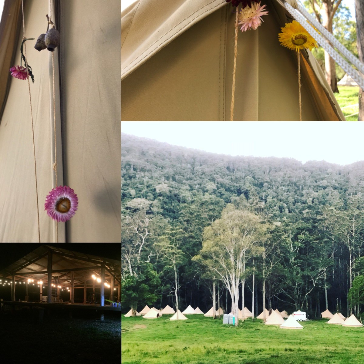Big Pineapple Glamping Tent Hire – Pitch Luxury Camping